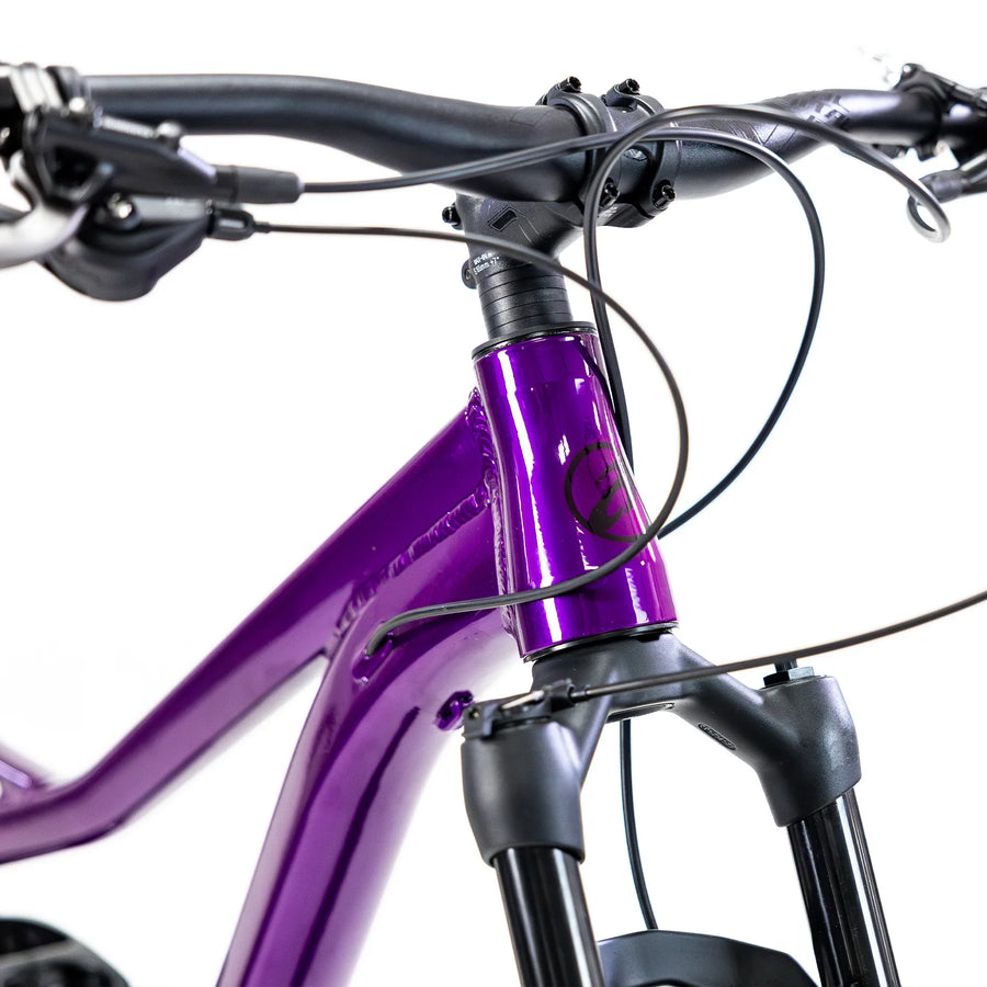 XTA DS 2024 – Alubike